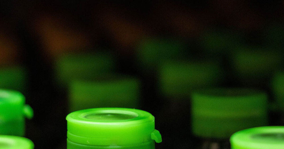 Solving odour nuisance at a soap and detergent factory | Desotec
