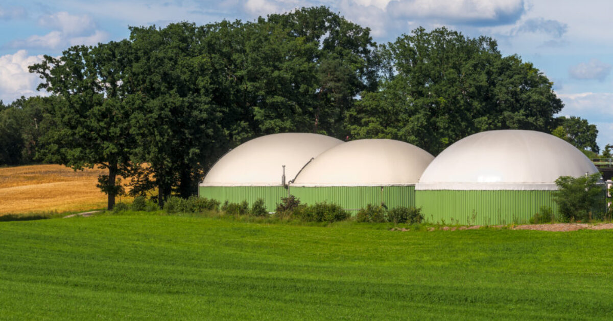 Everything you need to know about biogas and biomethane… | Desotec